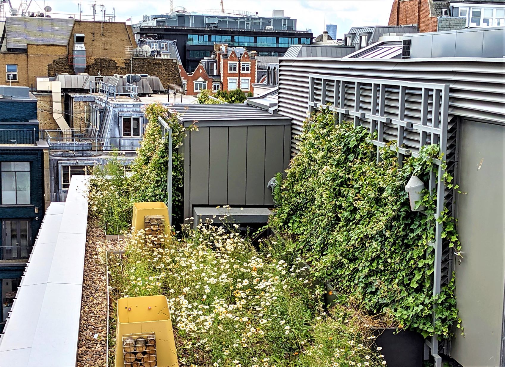 Sustainable Architectural Design | Brimelow McSweeney Architects